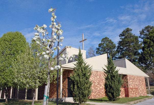 St. Mary Catholic Church (Batesville) - Mass Time